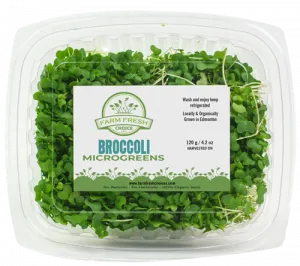 Edmonton Microgreen, Grown in Edmonton | Order Online