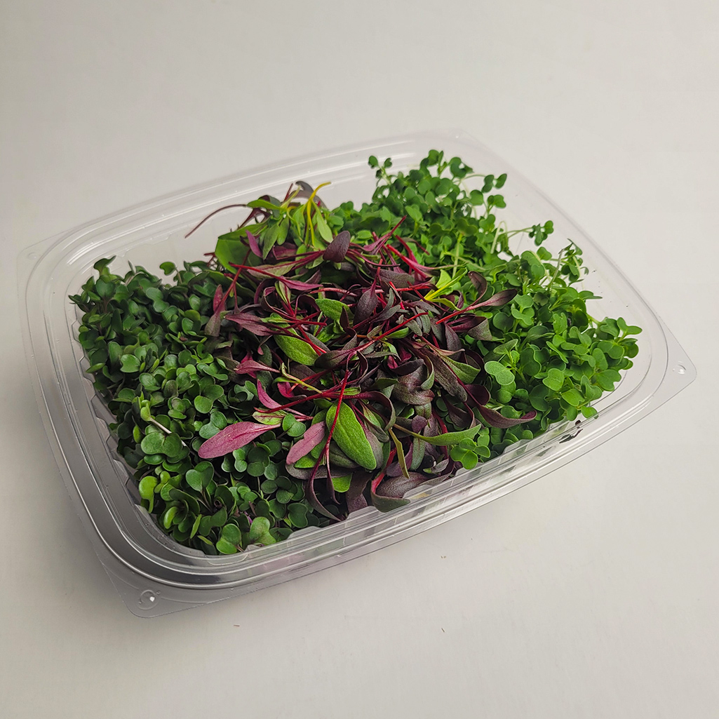 Sample Mix Microgreens - Farm Fresh Choice