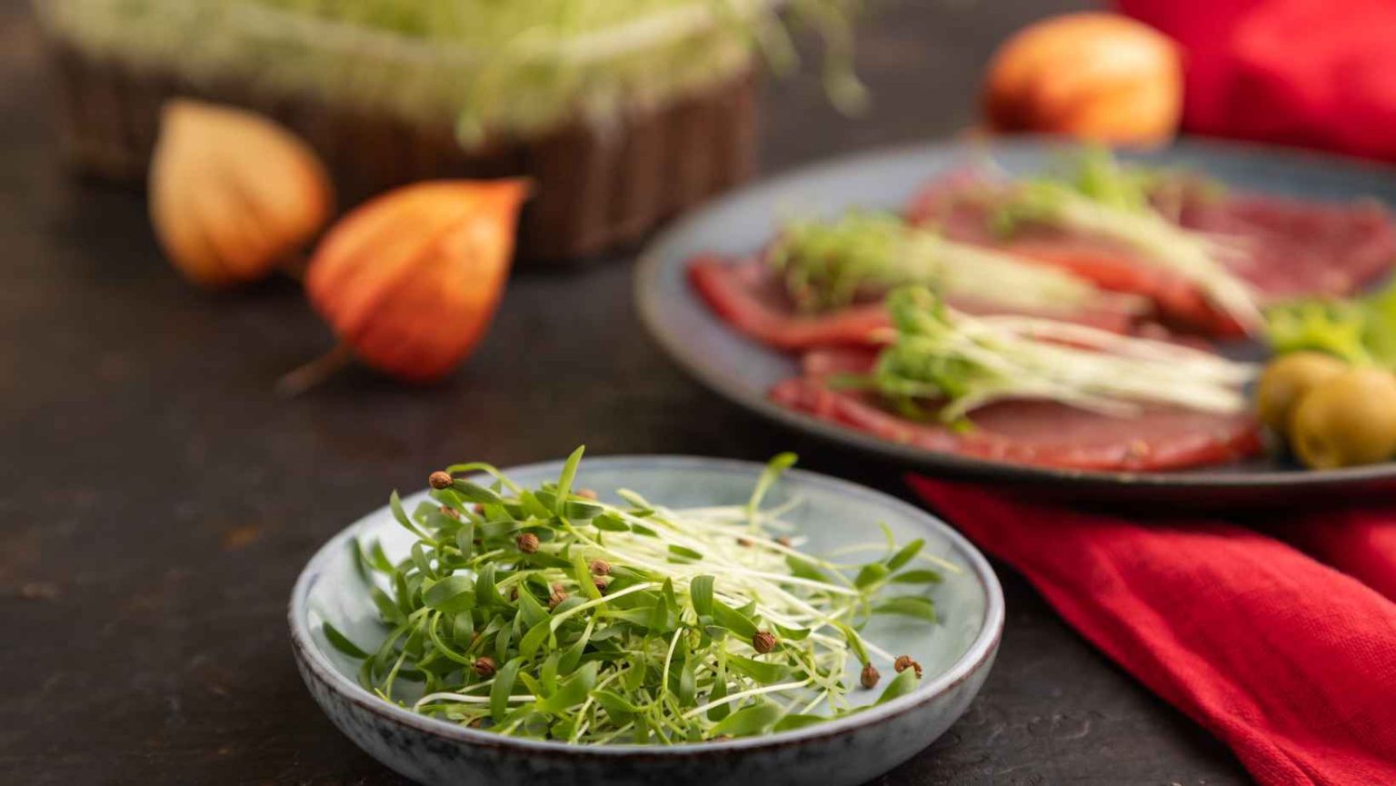 Best Microgreens for Garnish: A Chef’s Secret Weapon