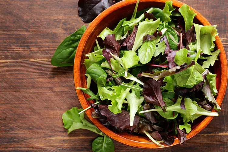 What Is Spring Mix and Why Is It So Popular?