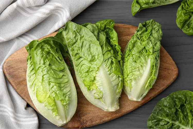 What Is Baby Leaf Lettuce