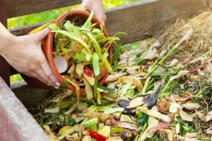 9 Smart Ways to Use Grass Clippings in Your Garden