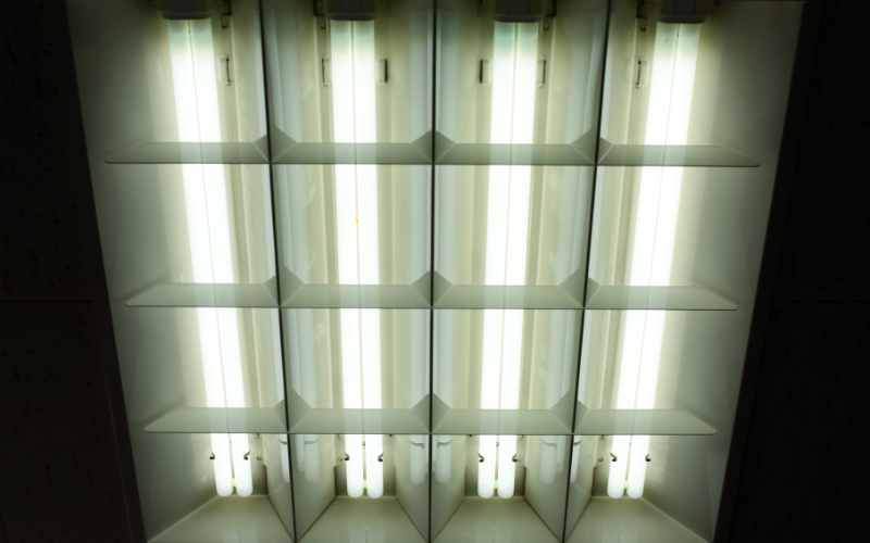 Do Grow Lights Work for Indoor Plants?