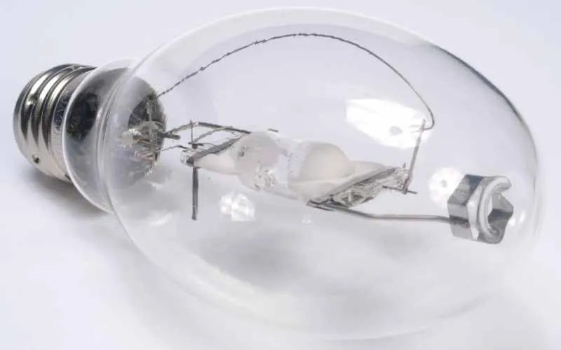 Do Grow Lights Work for Indoor Plants?