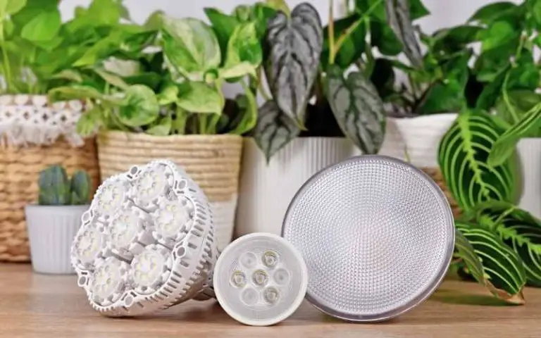 Lighting for Indoor Plants: A Complete Guide