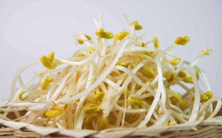 The Best Sprouts To Grow And Add to Your Diet