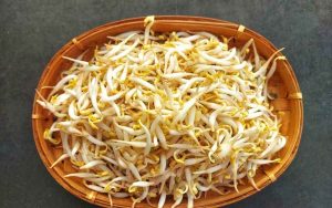 How to Keep Bean Sprouts Fresh Longer