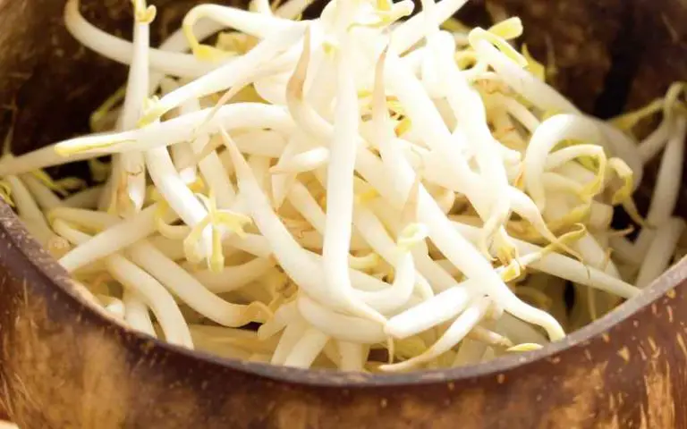 How to Keep Bean Sprouts Fresh Longer