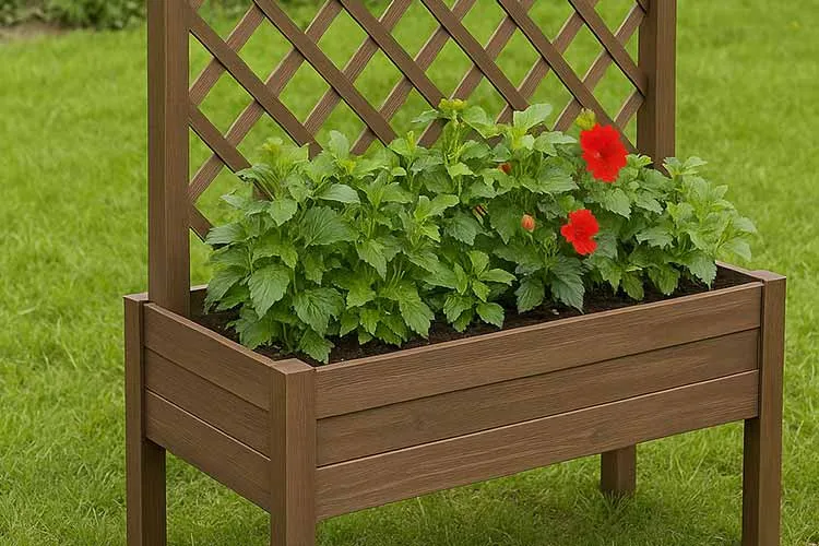 5 Best Garden Raised Beds That Come With Built-In Trellises
